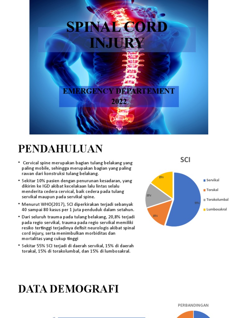 SPINAL CORD INJURY PPT Salinan | PDF