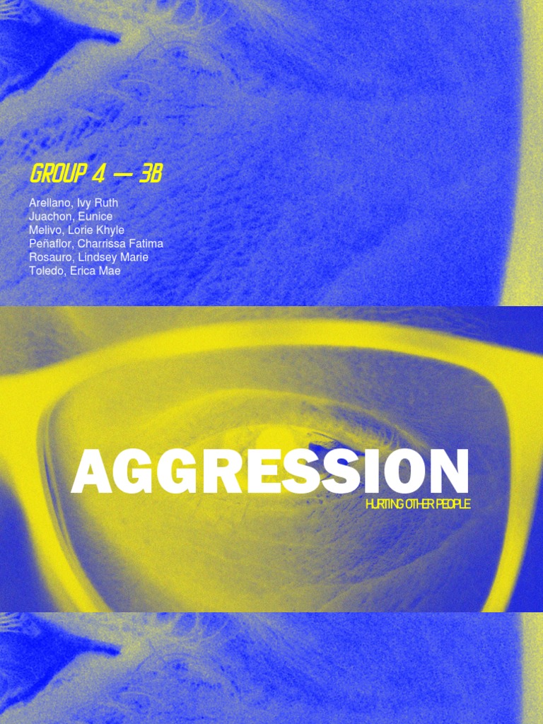 Understanding Aggression Types | PDF | Aggression | Violence