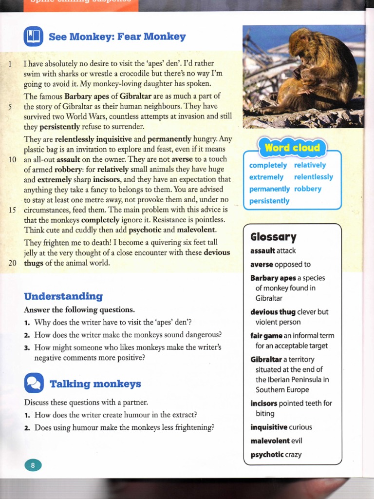 See Monkey Fear Monkey | PDF | Monkey