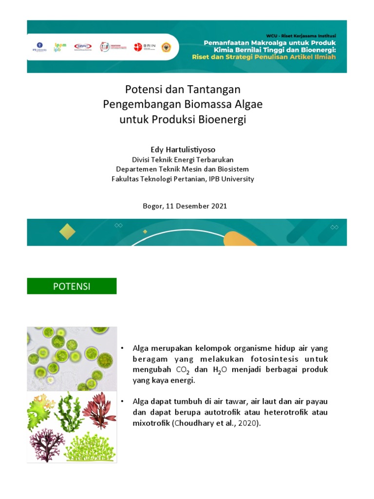 Bioenergy Algae RKI Workshop 11 Des 2021 | PDF