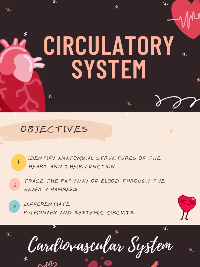 Circulatory System | PDF | Heart Valve | Heart