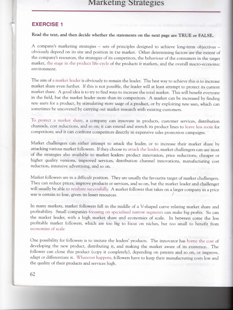 Marketing Strategies - Exercises | PDF