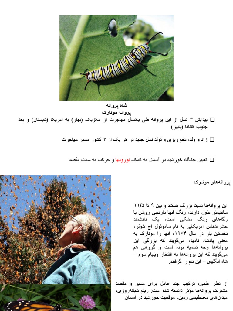 fasle.1 - zist 10 (nomrebartar) | PDF