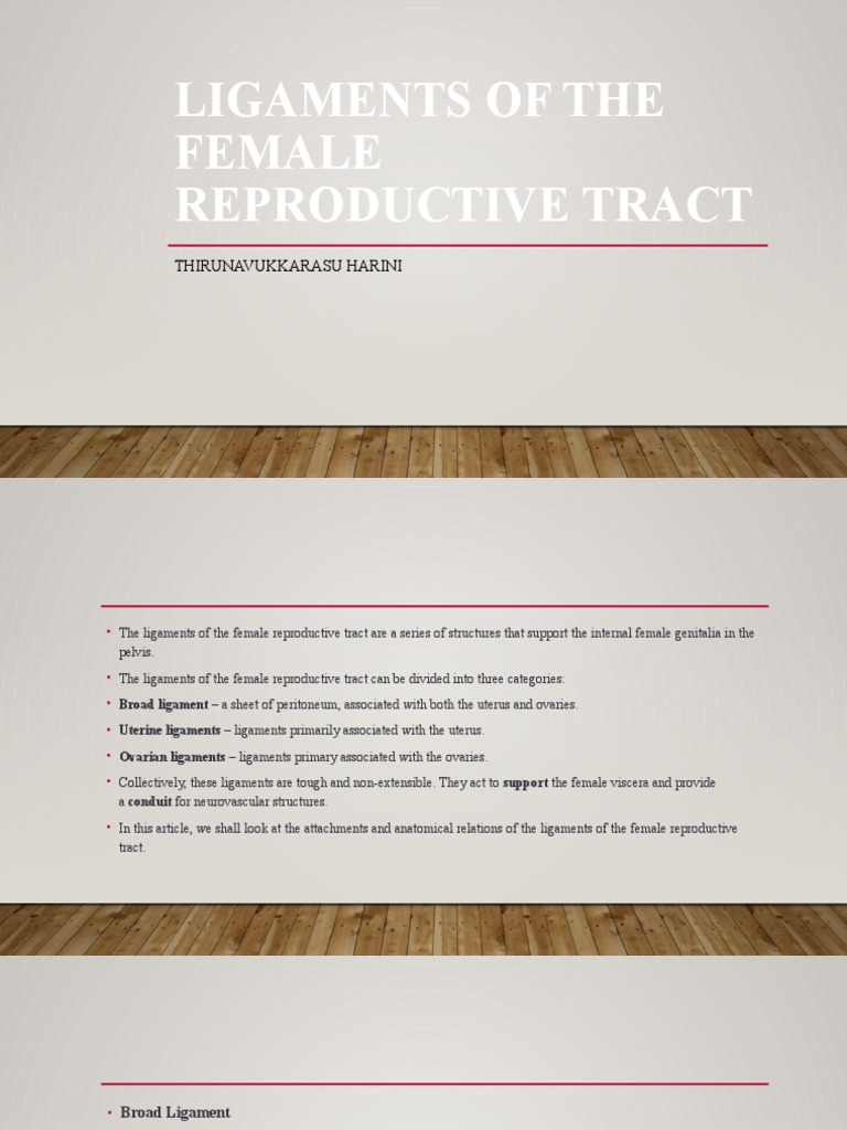 Female Reproductive Ligaments | PDF | Uterus | Ovary