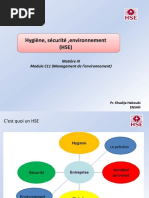 Le Concept Hse en Entreprise | PDF | Sécurité | Environnement naturel