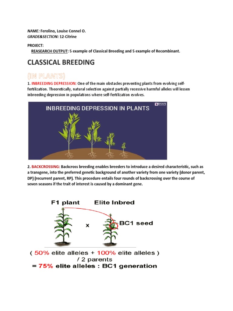 Classical and Hybrid Breeding Examples | PDF