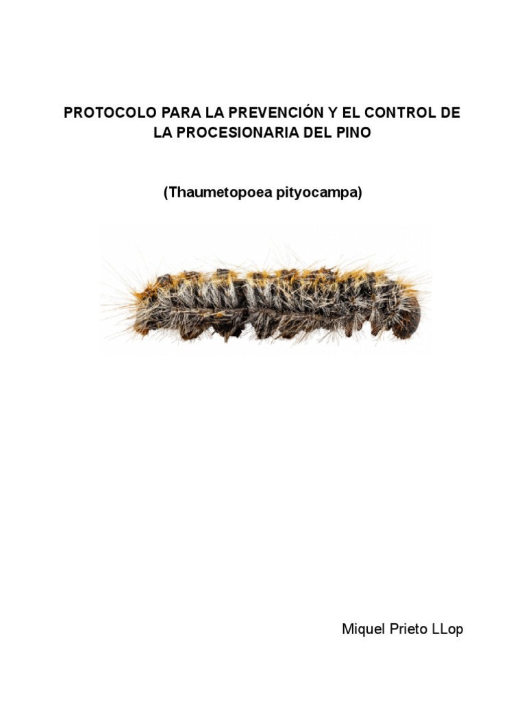 Control de Procesionaria del Pino | PDF | Insectos