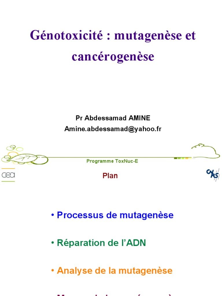 2 Mutagenèse | PDF | Mutation | Réparation de l'ADN