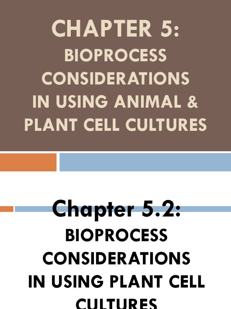 Bioprocess Consideration Using Plant Cell Cultures | PDF | Growth ...