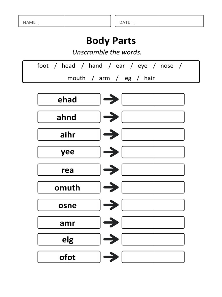Body Parts Worksheet 3 | PDF