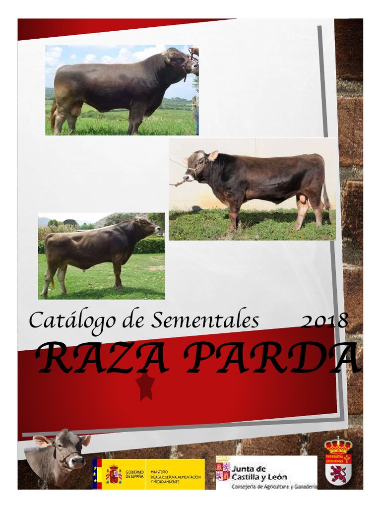 Catalogo Sementales Raza Parda 2018 | PDF