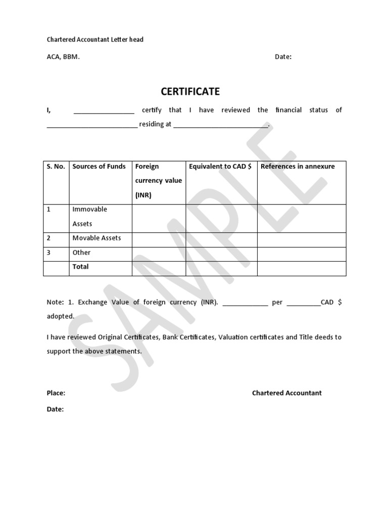 CA Report Format | PDF | Finance & Money Management