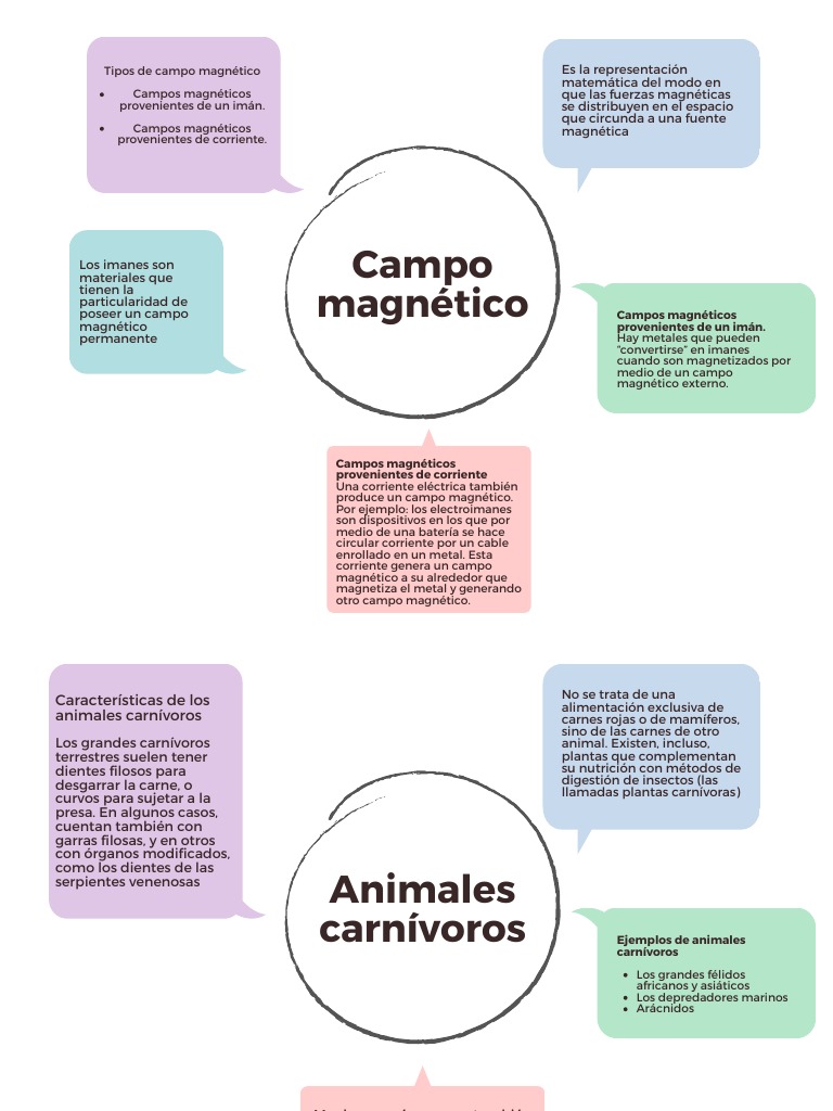 Mapa Mental 02 | PDF | Imán | Campo magnético