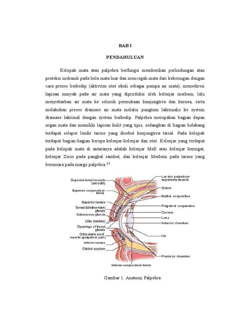 Laporan Kasus Hordeolum | PDF