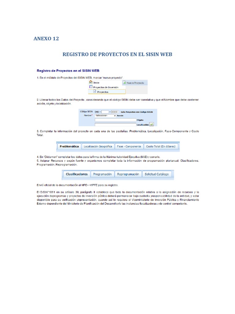 Registro de Proyectos en Sisin | PDF