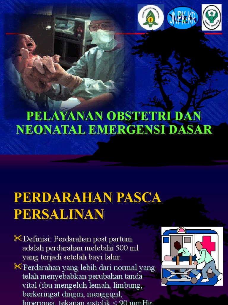 Perdarahan Pasca Persalinan | PDF