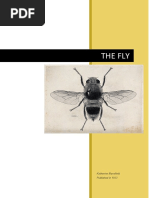 The Fly | PDF