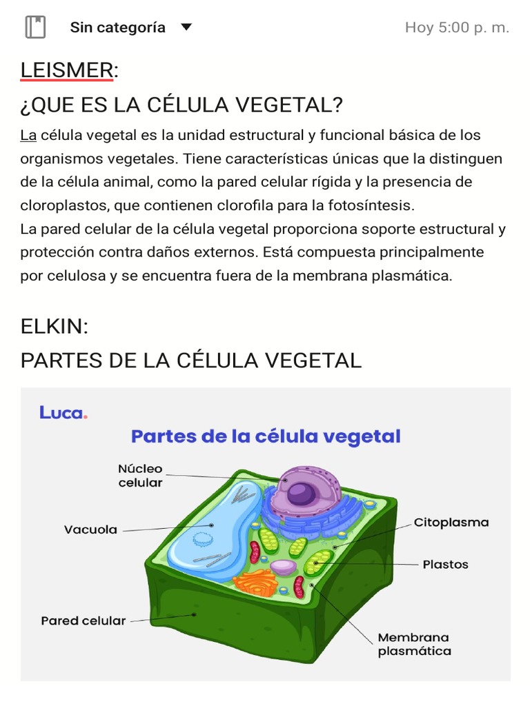 Exposición de La Célula Vegetal | PDF | Plantas | Biología Celular)