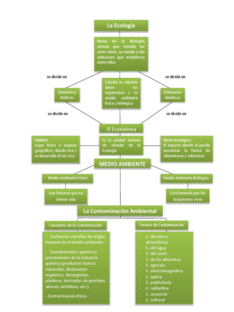 Mapa Conceptual Del Medio Ambiente 2 | PDF | Entorno natural | Ecología