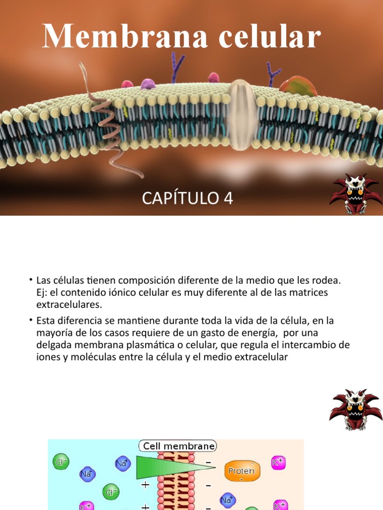 Membrana Celular | PDF | Membrana celular | Bicapa lipídica