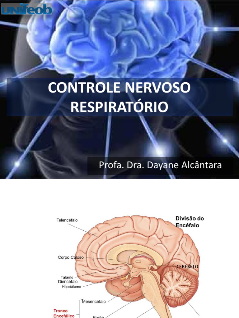 Controle Respiratório | PDF | Neurociência | Anatomia