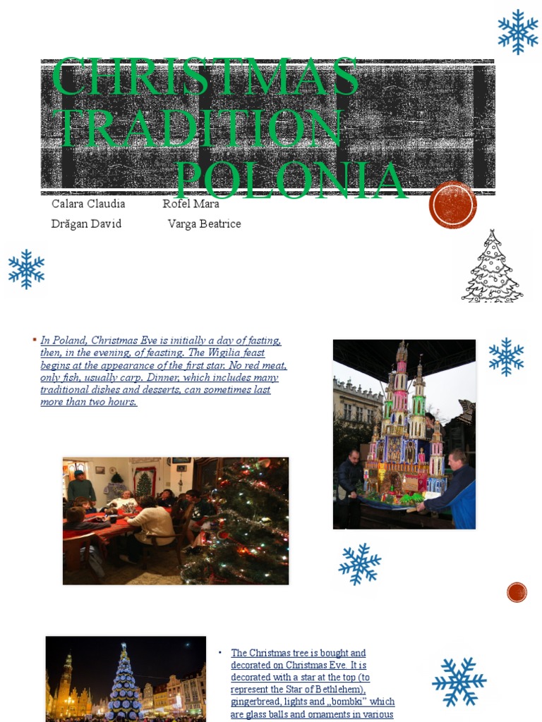 Proiect Engleza | PDF