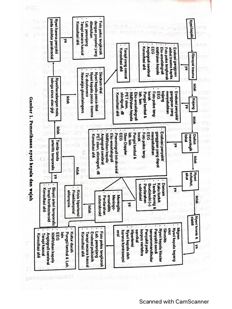 algoritma-nyeri-kepala-pdf