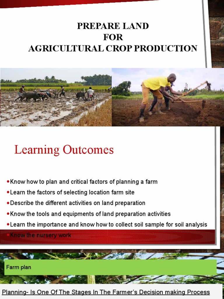 PREPARE LAND PREPARATIONvegetables Garden | PDF | Soil | Plant Nursery