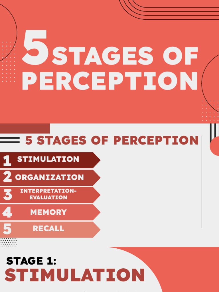 5 Stages of Perception | PDF | Perception | Memory