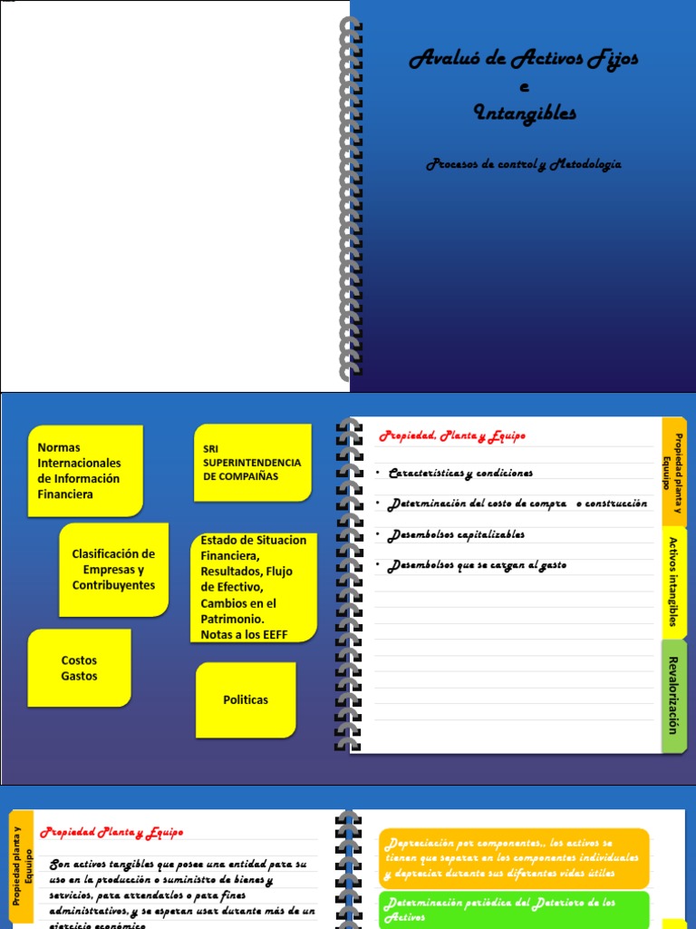 Avaluo de Activos Fijos e Intagibles | PDF | Activo intangible ...