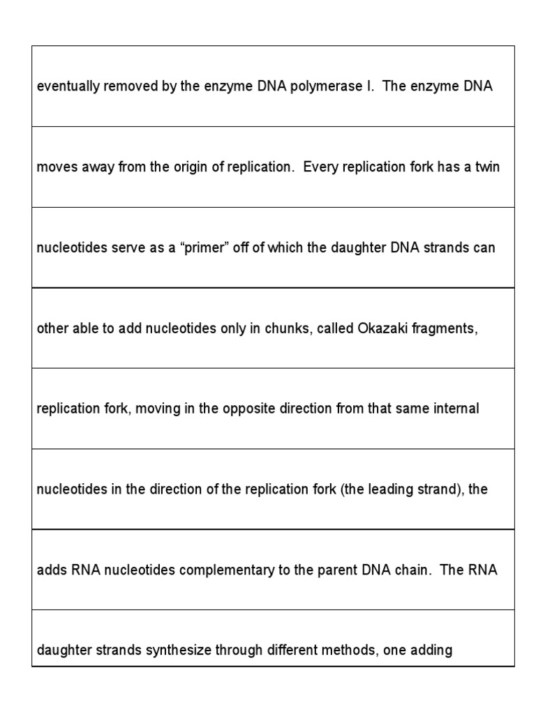 DNA Replication Summary Shuffled | PDF