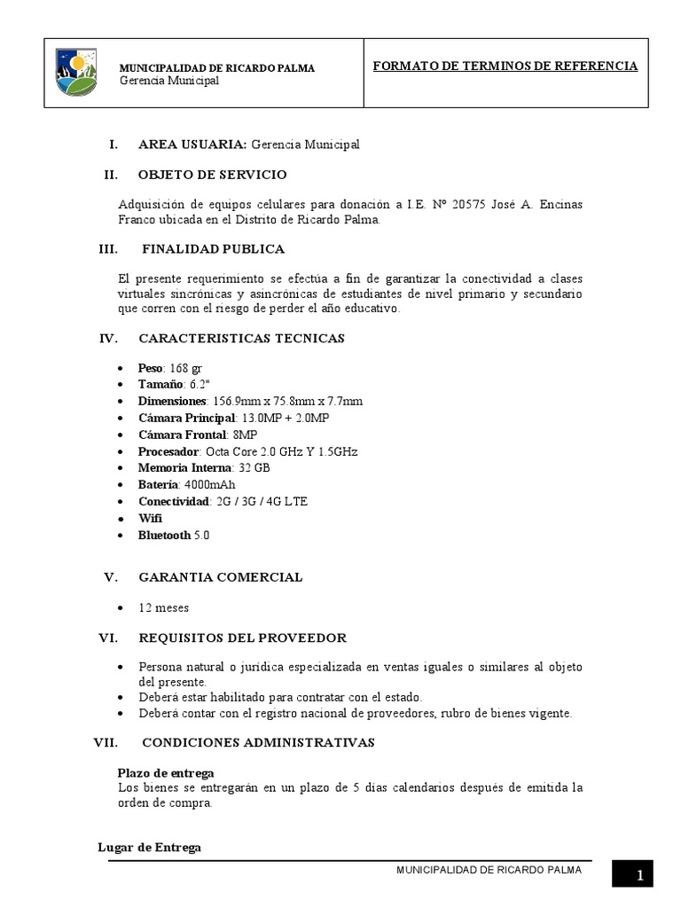 TDR MODELO | PDF | Informática