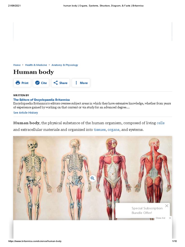 Human Body - Organs, Systems, Structure, Diagram, & Facts - Britannica ...