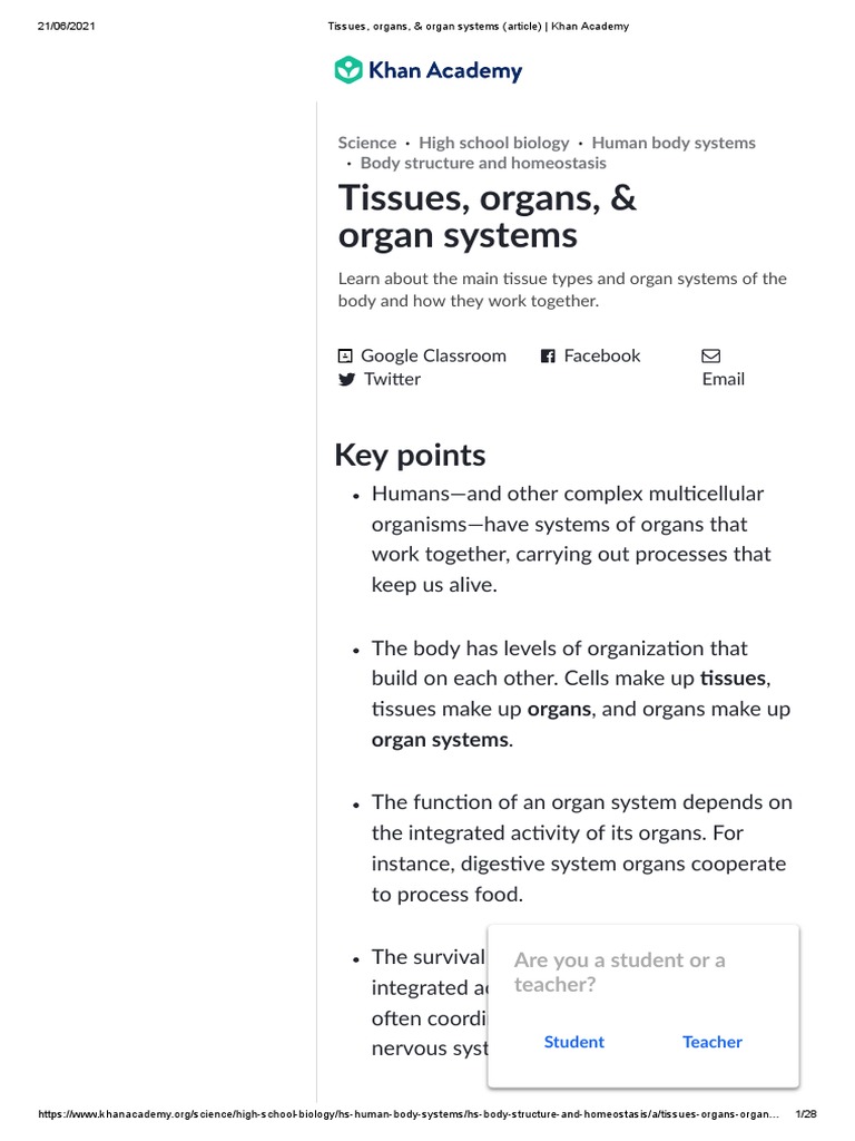 Tissues, Organs, & Organ Systems (Article) - Khan Academy | PDF ...