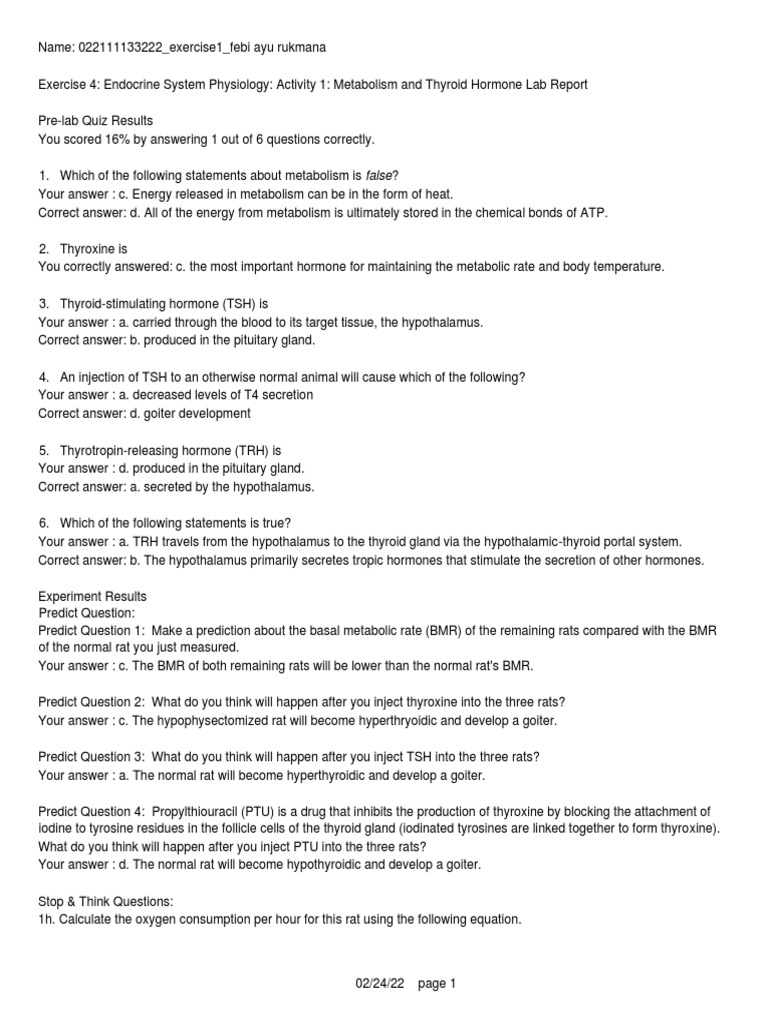 Exercise 4 - Activity 1 - 022111133222 - Febi Ayu Rukmana | PDF ...
