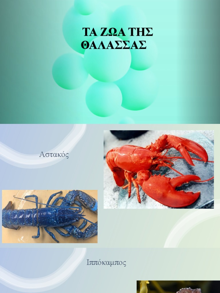 τα ζωα της θαλασσας.pptx | PDF