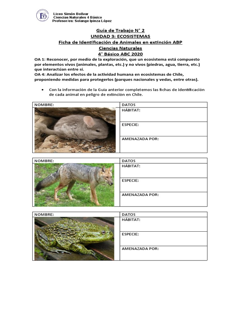 Guía de Trabajo N2 ECOSISTEMAS | PDF | Habitat | Ecología de sistemas