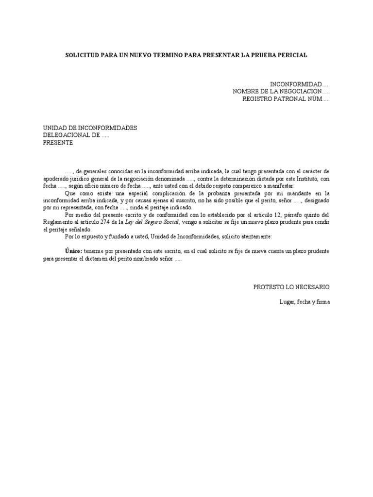 Solicitud para Un Nuevo Termino para Presentar La Prueba Pericial | PDF