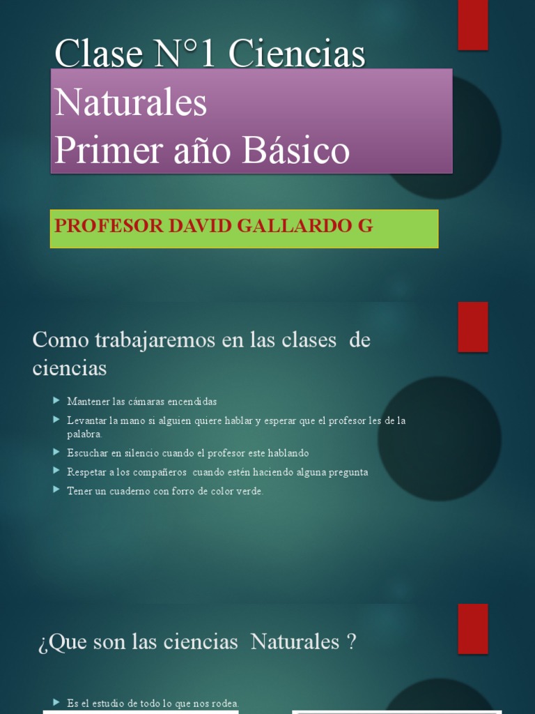 El Lugar Donde Vivimos | PDF