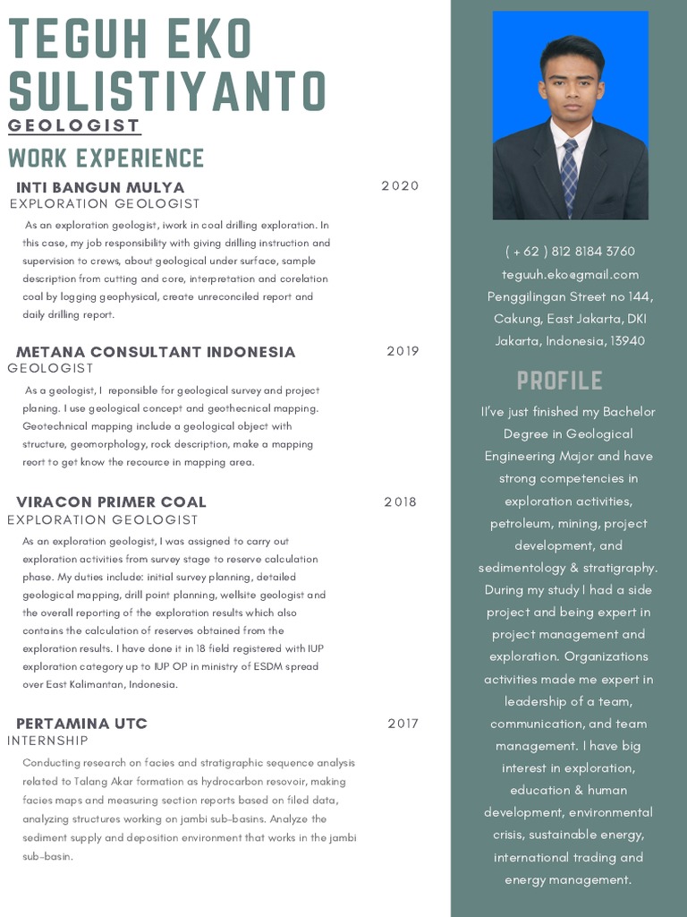 Curiculum Vitae Teguh | PDF | Geology | Earth Sciences