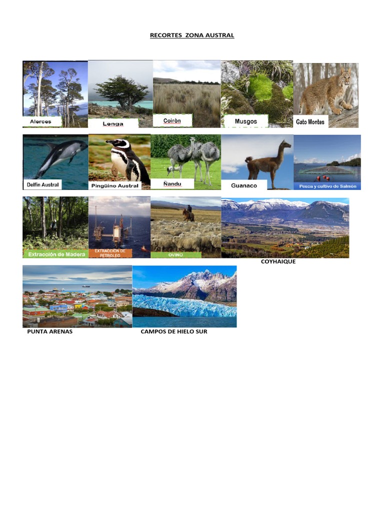 Recortes Zona Austral | PDF