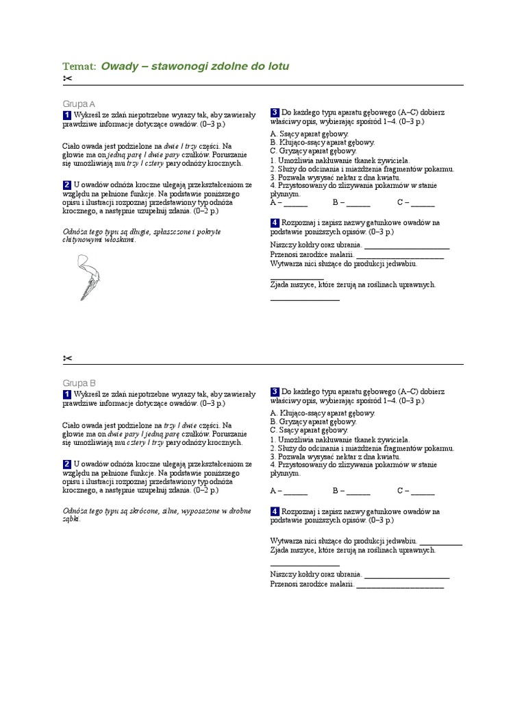 6A - Biologia - Owady Stawonogi Zdolne Do Lotu | PDF