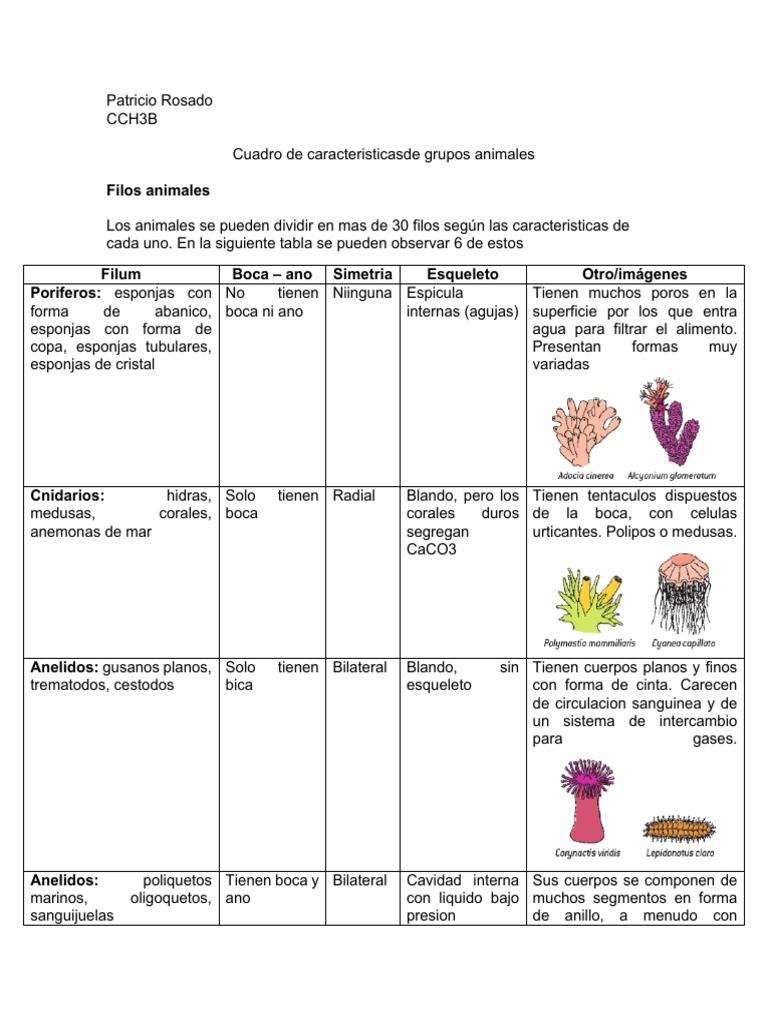 Clasificación de Grupos de Animales | PDF | Vertebrados | Pulmón
