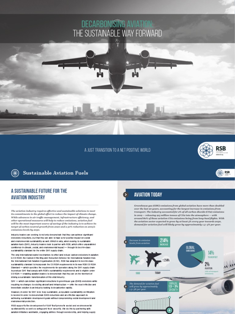 RSB Aviation Report WEB - Final | PDF | Sustainability | Biofuel