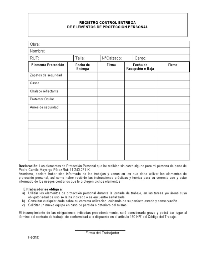 Control Entrega EPP | PDF