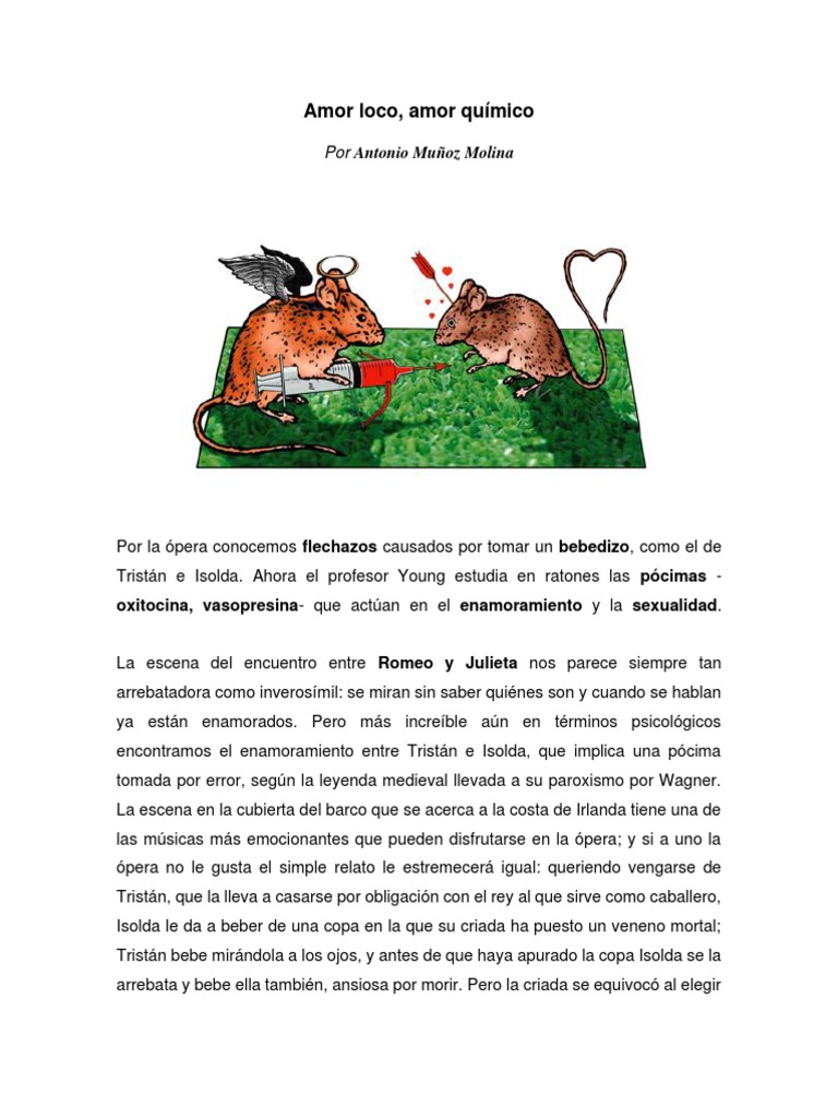 Amor Loco y Química del Enamoramiento | PDF | Amor