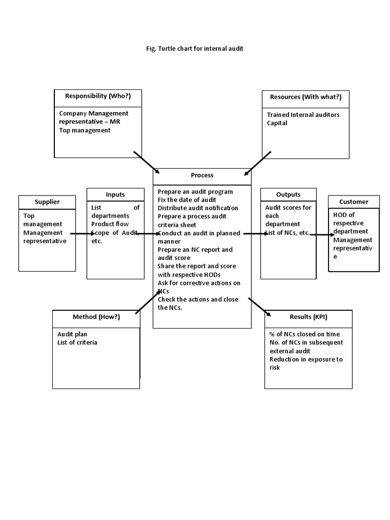 Fig. Turtle chart for internal audit processes | PDF | Audit | Internal ...