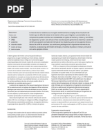 Revisión del intervalo rotador en MRI | PDF | Hombro | Extremidades ...