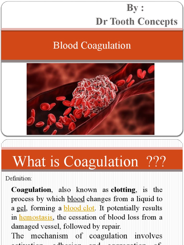 Blood Coagulation | PDF | Coagulation | Macromolecules