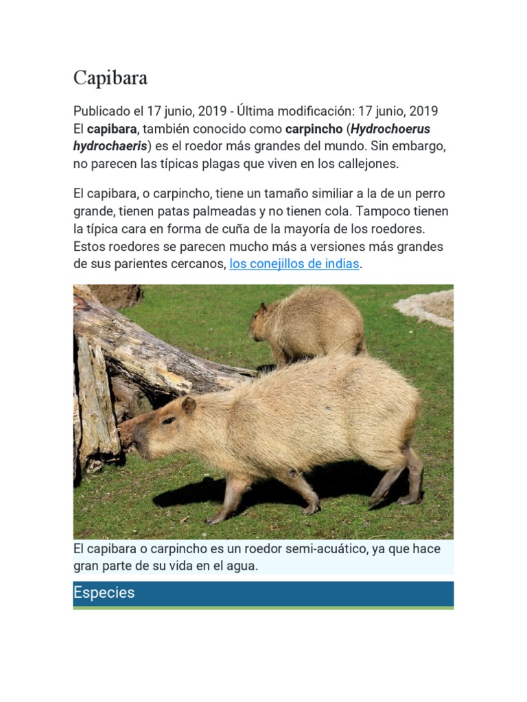 Capibara | PDF